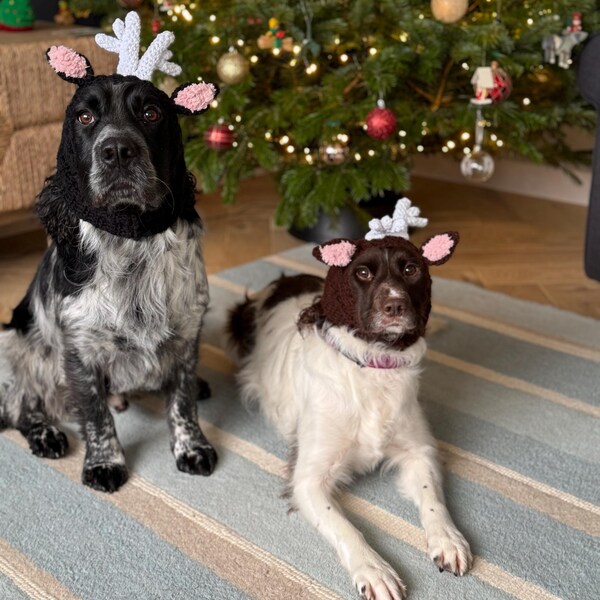 Maisy the Bunny - Needle Felted Art Sculpture, Needlefelted Animal ...