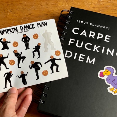 Astronaut Space Funny Cute Hard Enamel Pin for Introverts - Etsy