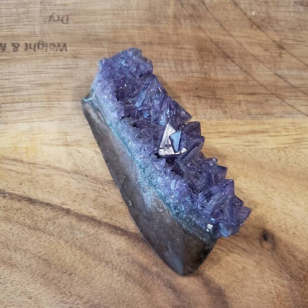 Crocodilian Scute Fossil osteoderm Armor Lance Fm. Niobrara Co., WY - Etsy