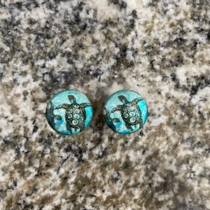 Knobs Stone Knobs Cabinet Knobs White Glass Sand Dollar - Etsy