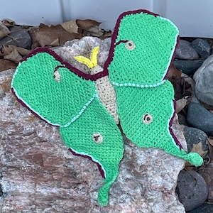 Rosy Maple Moth Crochet Pattern - Etsy