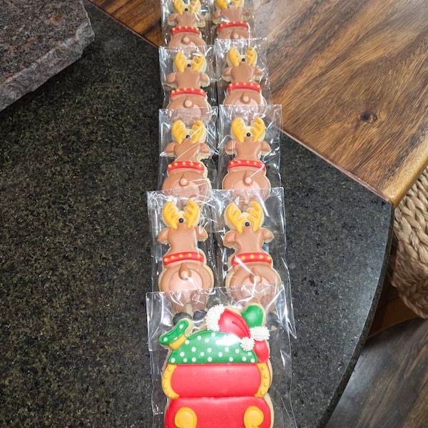 Detroit Lions Cookies - Etsy
