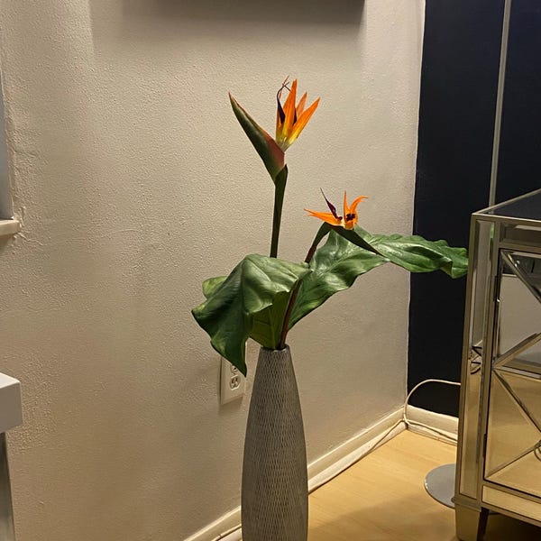 Real Touch Bird of Paradise Stem, Fake Silicone Strelitzia Blue, High ...