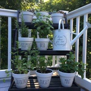 Herb Decals Potted Plant Labels Basil Label Oregano Label - Etsy