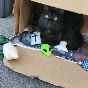 Magical Purple Moon Cat Toy With White Embroidered Stars - Etsy