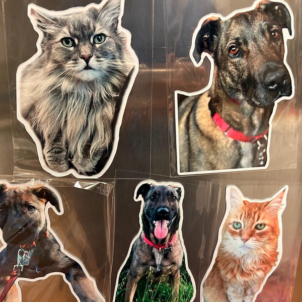 Custom Fridge Magnet, Custom Magnet Print, Dog and Cat Magnet, Custom ...