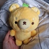 Lemon Bear Plushy - Etsy