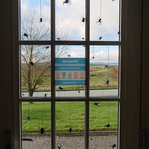 Spider Halloween Window Stickers, Spooky Season Decor, Creepy Scary ...