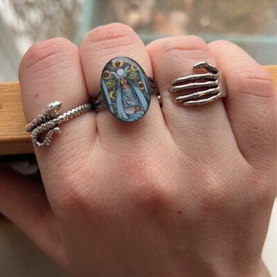 Seaweed, Horned Wrack, Fucus Ceranoides, Brown Algae, Beach Ocean ...