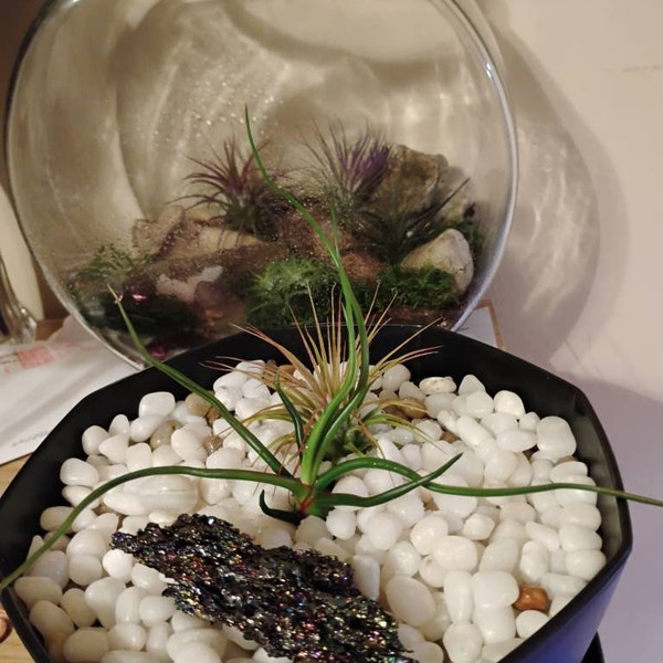 Powerful Shungite Point Tower With Glass Case Crystal Gift, EMF ...