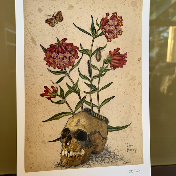 Odd Botanical Series Artwork by Dan Barry, blandfordia Grandiflora ...