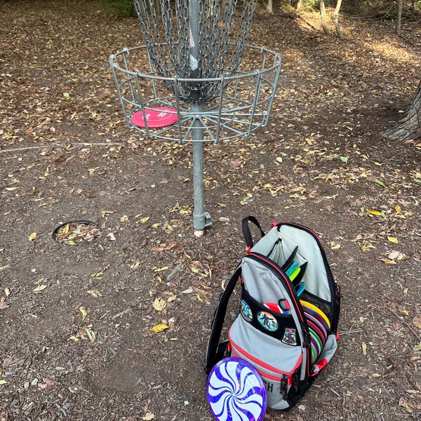 New DGA PL Hurricane Custom Disc Dye Distance Driver 173-4g - Etsy