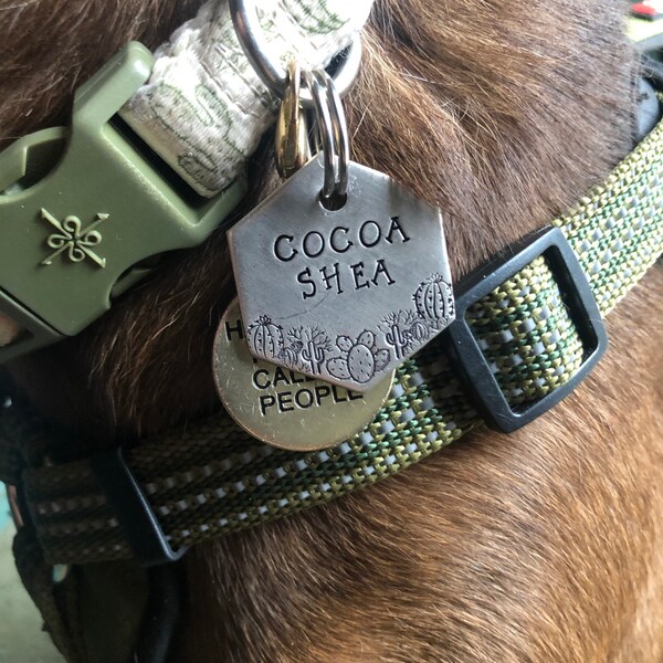 Dog Tags for Dogs, the Cactus Garden, Cactus Dog Tag, Personalized Dog ...