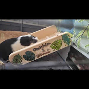 INDOOR Guinea Pig Ramp, Rabbit Ramp, Hedgehog Ramp With Sides Option 5. ...