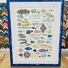 24x36 Offshore Fishes of the Atlantic & Gulf of Mexico Poster, Offshore ...