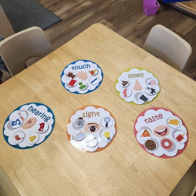 Five Senses Sorting Activity Printable, 5 Senses Sorting, Homeschool ...