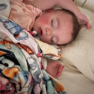 Purple Rose Hibiscus Vintage Floral Velveteen Minky Blanket, Baby Girl ...