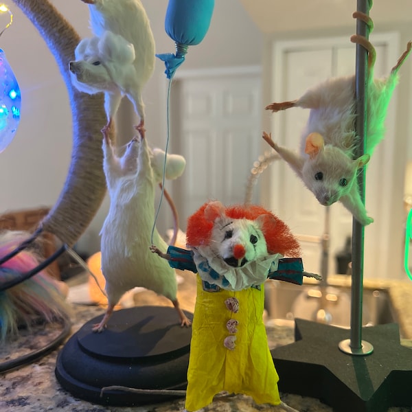 Taxidermy Rat Clown Mouse "horror" Taxidermy Rat Anthropomorphic Curiosity Oditties - Etsy