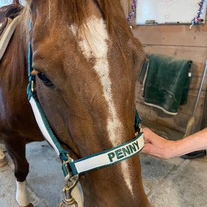 Personalized Horse Halter Halter Monogrammed Horse Halter - Etsy
