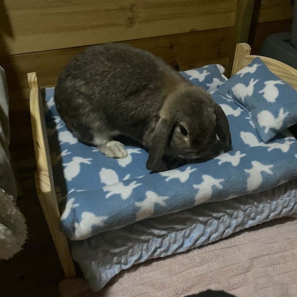 Snuggle Buffer Bed With Heat Pad Insert Bunny Rabbit Padded Blanket Pet ...