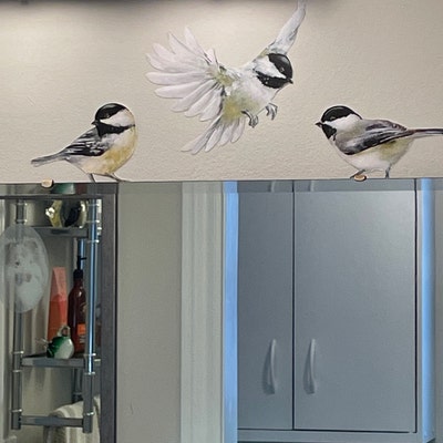 Set 4 Wall Decals Birds, Black-capped Chickadees, Get Well Gift, Wall ...