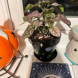 The Halloween Ghost Plant Pot - Etsy