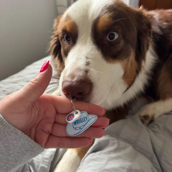 Kid's Info Keychain in Case of Emergency Key Chain, Phone Number ...