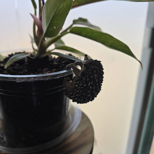 Curved Pathway, Miniature Path, Mini Pathway, Fairy Garden Path ...