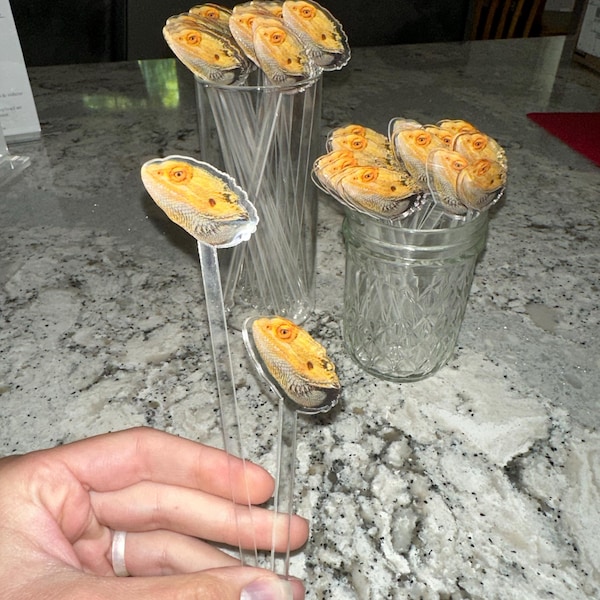 Custom Wedding Reception Bar Frosted Cups, Personalized Shatterproof ...