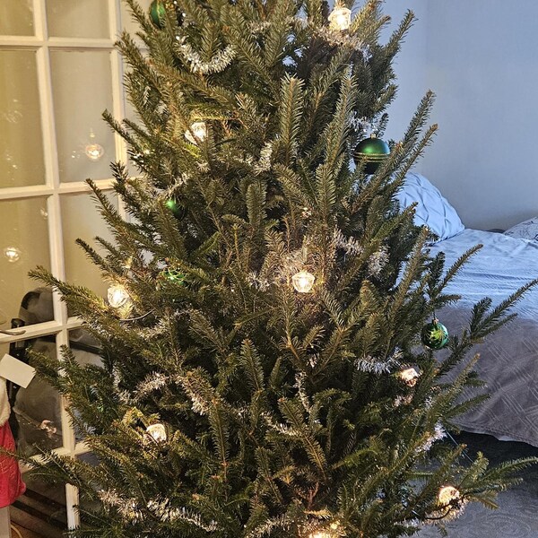 Hawaiian Quilts 100% Hand Quilted/hand Appliqued Full/queen Bedspread ...