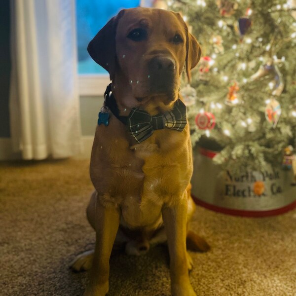 Denim Canvas Crossbody Fanny Pack, Boho Belt Bag With Poo Hole ...