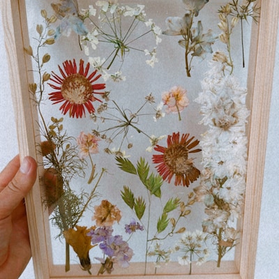 Matte Black Double Glass Floating Frame, Pressed Flower Frames for ...