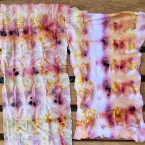 Choose a Natural Dye-annatto Seed Cochineal Insect Cutch Henna Madder ...