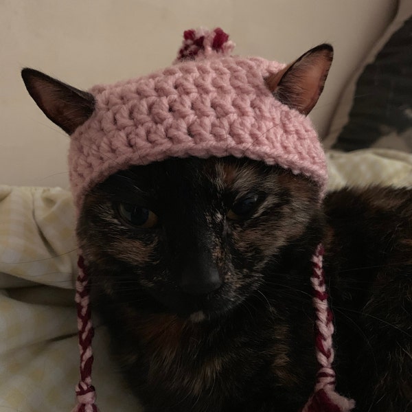 Easy Crochet Adult Cat Hat Beanie Pattern 336 DIGITAL DOWNLOAD ONLY - Etsy