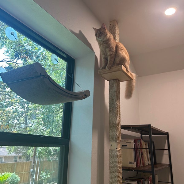 Cat Pole! Cats Can Climb From Floor to Ceiling for Play and Exercise ...
