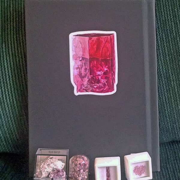 The Forager No. 1 Edible Wild Foods Poster, Foraging Poster, Edible and ...