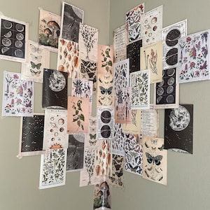 Natural Botanical Aesthetic Wall Collage Kit 20 Physical Prints - Etsy