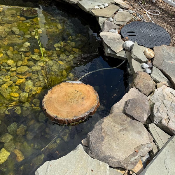 Turtle Basking Raft, Faux Bark Floating Dock, Pond Decor - Etsy