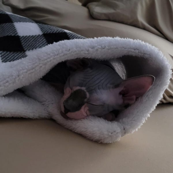 Snuggle Bed, Cat Sleep Sack, Snuggle Sack, Sleeping Bag, Pet Sleeping ...