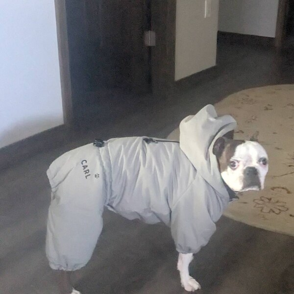 Coat for Large Dogs, Large Dog Raincoat, Custom Pet Gifts, Big Dog ...
