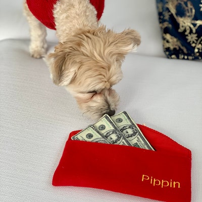 Lucky Money Snuffle Envelope Dog Toy, Interactive Pet Toy, Lunar New ...