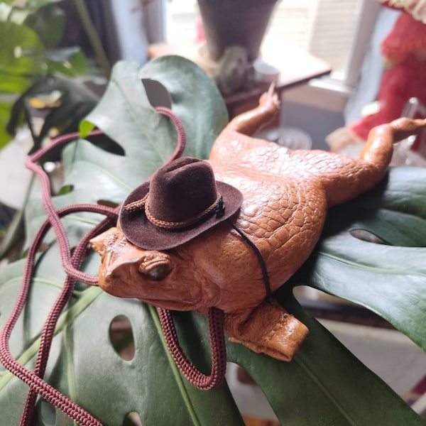 Real Cane Toad Purse Full Body Regular Size Leather Frog Bag: Fits ...