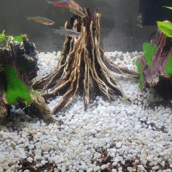 Aquarium Driftwood Centerpiece Aquascape Hardscape Arch Fish Tank ...