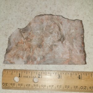 Agua Nueva Agate Stone Rough Lapidary Slab Rough Slice 233 Grams ...