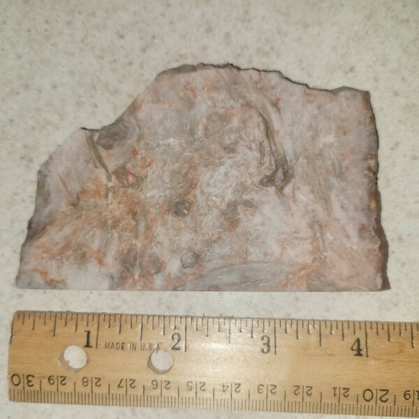 Mushroom Rhyolite Unpolished Rough Slice Lapidary Raw Slab 172 Grams - Etsy