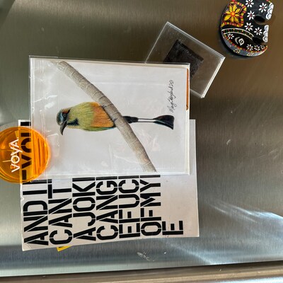 Eastern Spine-bill Bird, Original Coloured Pencil Art, 9x12 Inch Wall ...