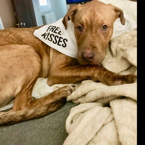 Forever, Forever, Ever, Forever, Ever Outkast DIGITAL DOWNLOAD 8x10 - Etsy