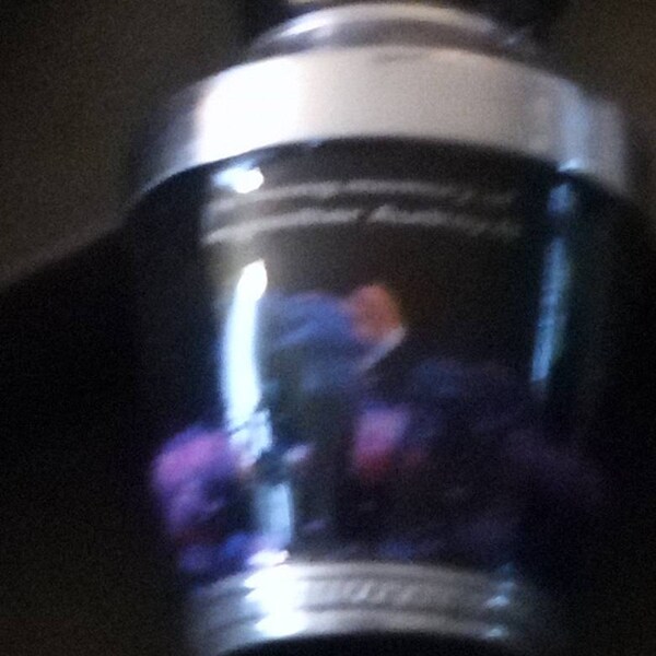 Elephant Walk in Firefly Forest Cremation Urns for Human Ashes for Male ...