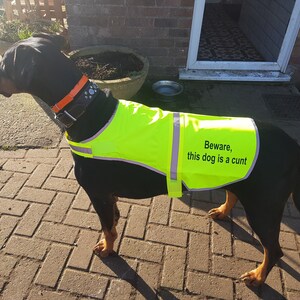 Personalised Dog High Vis Vest Coat Safety Reflective Pet - Etsy UK