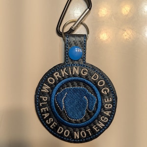 Service Dog Tag, Personalized for Dogs, Working Dog Gear, Don't Pet Me ...